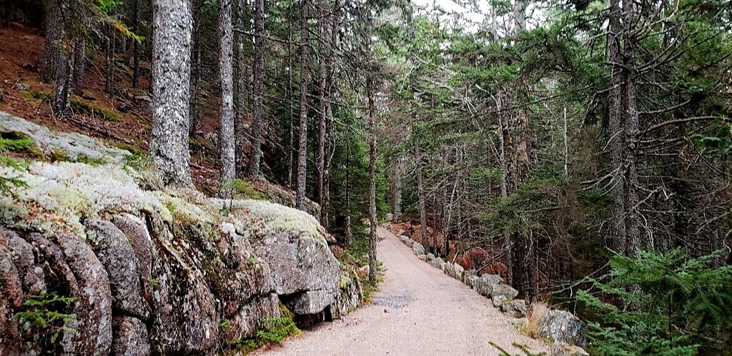 Carriage Roads Bike Routes & Trails in Acadia National Park