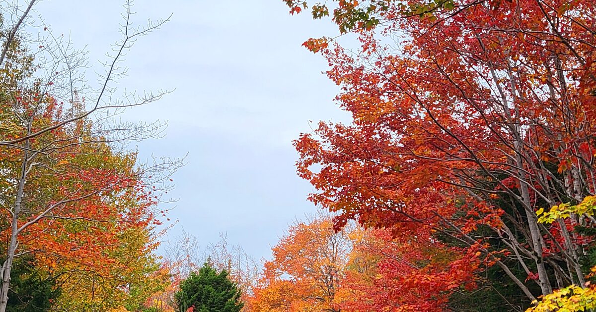 How it Works | Acadia Ebike Adventure