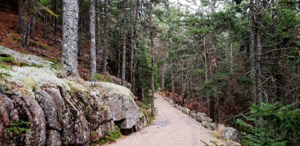 Carriage Roads Bike Routes & Trails in Acadia National Park